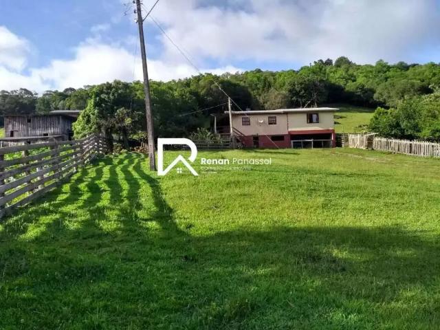 Sítio / Chácara para Venda em Caxias do Sul/RS Fazenda Souza 3 Quartos