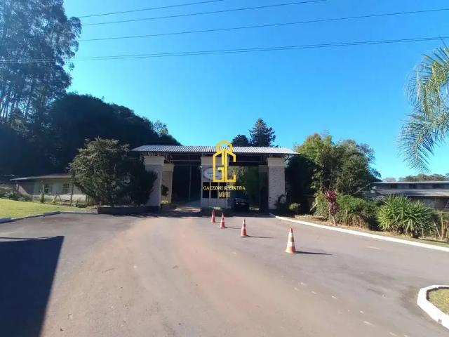 Sítio / Chácara para Venda em Caxias do Sul/RS Fazenda Souza 3 Quartos