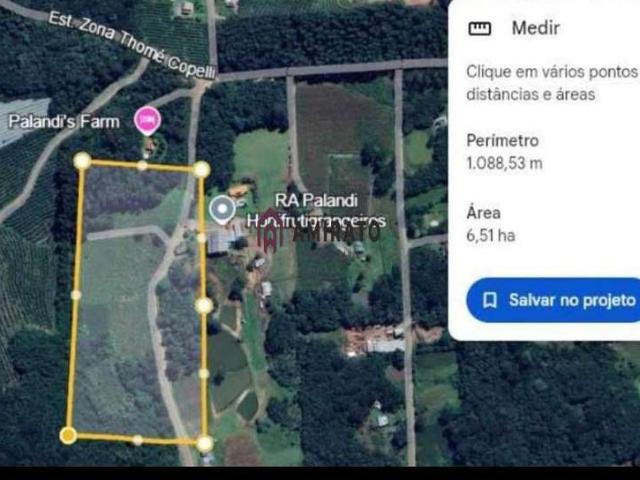 Sítio / Chácara para Venda em Caxias do Sul/RS Fazenda Souza 3 Quartos