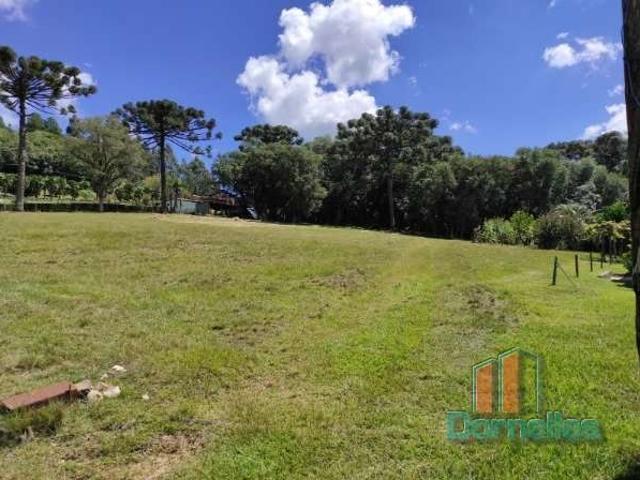 Sítio / Chácara para Venda em Caxias do Sul/RS Fazenda Souza 3 Quartos