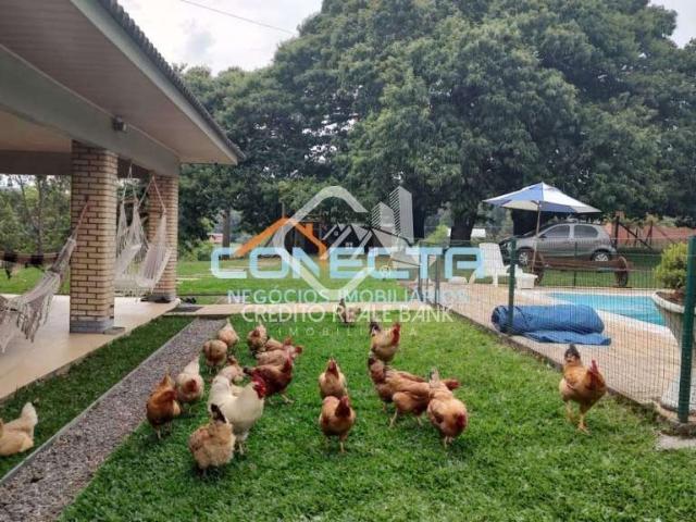 Sítio / Chácara para Venda em Caxias do Sul/RS Fazenda Souza 3 Quartos