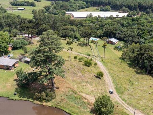 Sítio / Chácara para Venda em Caxias do Sul/RS Fazenda Souza 3 Quartos