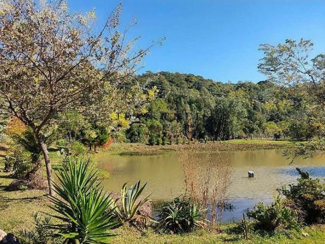 Sítio / Chácara para Venda em Caxias do Sul/RS Fazenda Souza 3 Quartos