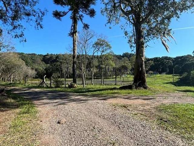 Sítio / Chácara para Venda em Caxias do Sul/RS Fazenda Souza 1 Quartos