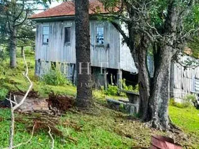 Sítio / Chácara para Venda em Caxias do Sul/RS Fazenda Souza 1 Quartos