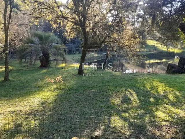 Sítio / Chácara para Venda em Caxias do Sul/RS Fazenda Souza 2 Quartos