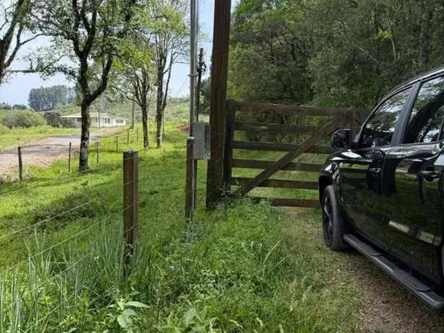 Sítio / Chácara para Venda em Caxias do Sul/RS Fazenda Souza