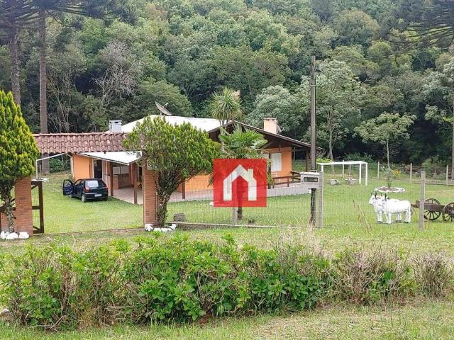 Sítio / Chácara para Venda em Caxias do Sul/RS Fazenda Souza 4 Quartos
