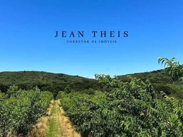 Sítio / Chácara para Venda em Caxias do Sul/RS Fazenda Souza 1 Quartos