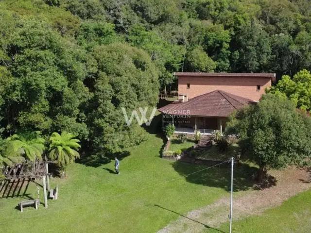 Sítio / Chácara para Venda em Caxias do Sul/RS Fazenda Souza 5 Quartos