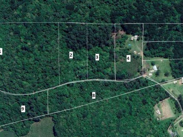 Sítio / Chácara para Venda em Caxias do Sul/RS Fazenda Souza