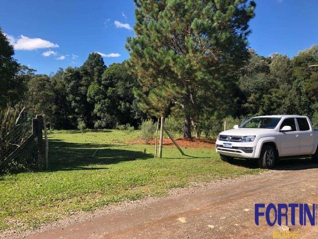 Sítio / Chácara para Venda em Caxias do Sul/RS Fazenda Souza