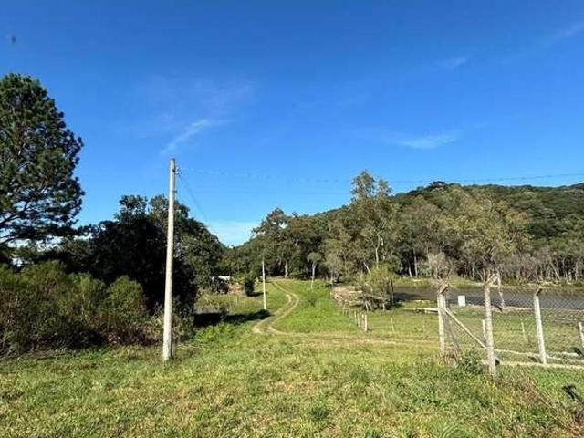 Sítio / Chácara para Venda em Caxias do Sul/RS Fazenda Souza