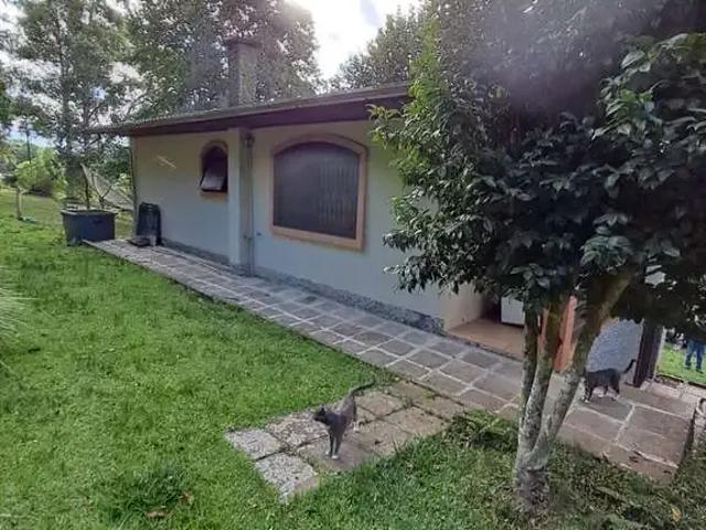Sítio / Chácara para Venda em Caxias do Sul/RS Fazenda Souza