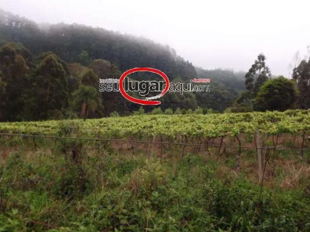 Sítio / Chácara para Venda em Caxias do Sul/RS Forqueta