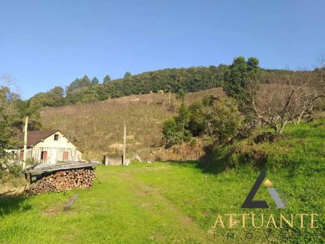 Sítio / Chácara para Venda em Caxias do Sul/RS Forqueta 2 Quartos