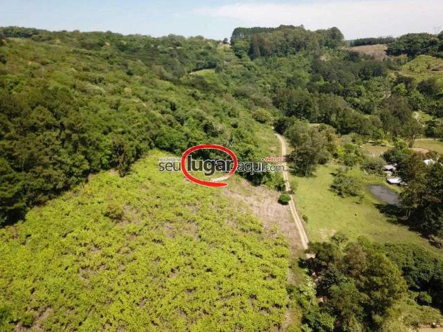 Sítio / Chácara para Venda em Caxias do Sul/RS Forqueta