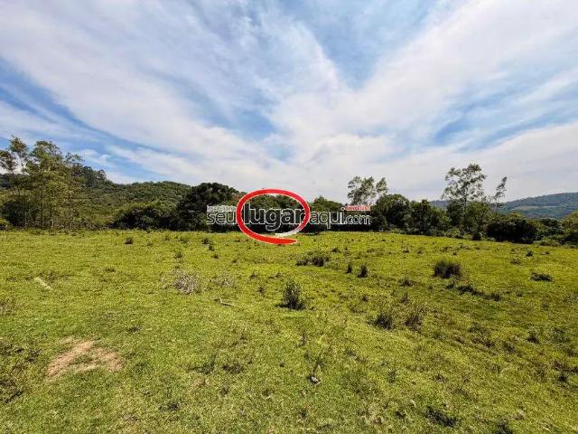 Sítio / Chácara para Venda em Caxias do Sul/RS Forqueta