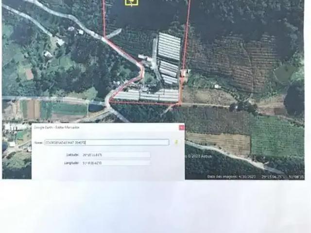 Sítio / Chácara para Venda em Caxias do Sul/RS Galópolis