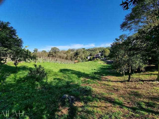 Sítio / Chácara para Venda em Caxias do Sul/RS Galópolis