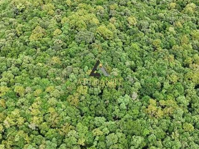 Sítio / Chácara para Venda em Caxias do Sul/RS Galópolis