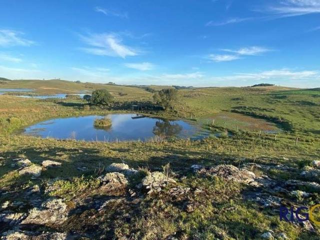 Sítio / Chácara para Venda em Caxias do Sul/RS Galópolis