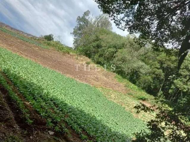 Sítio / Chácara para Venda em Caxias do Sul/RS Galópolis