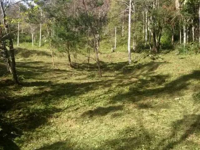 Sítio / Chácara para Venda em Caxias do Sul/RS Galópolis