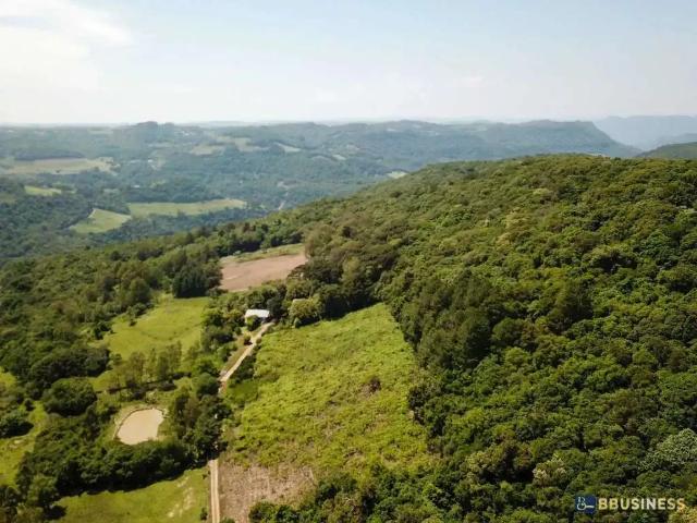 Sítio / Chácara para Venda em Caxias do Sul/RS Kayser 4 Quartos