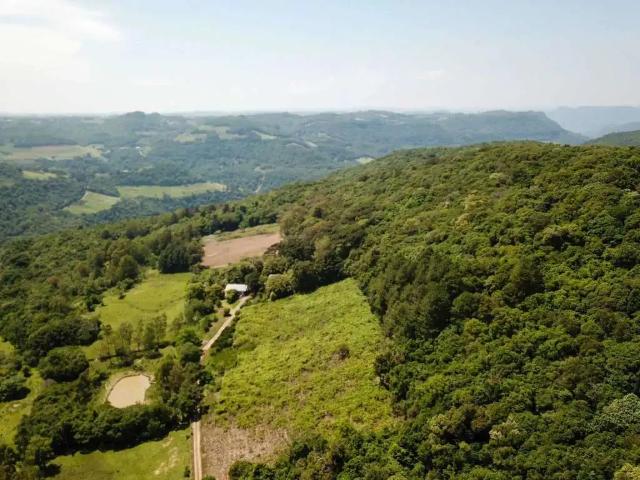 Sítio / Chácara para Venda em Caxias do Sul/RS Kayser 4 Quartos