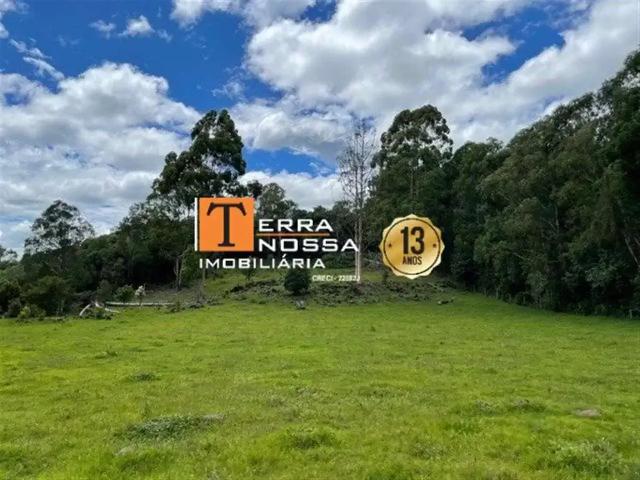 Sítio / Chácara para Venda em Caxias do Sul/RS Parada Cristal