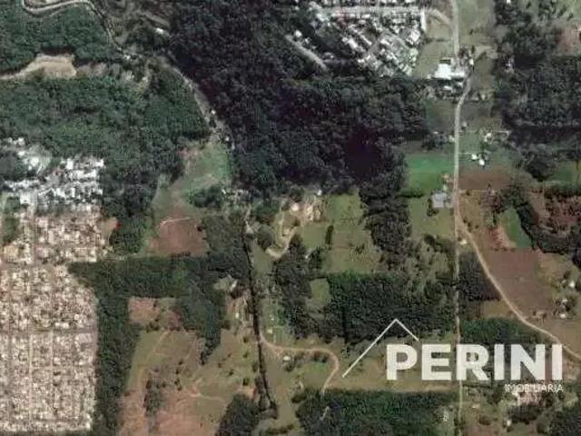 Sítio / Chácara para Venda em Caxias do Sul/RS São Victor COHAB