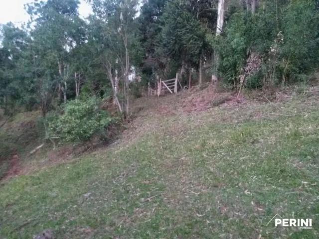 Sítio / Chácara para Venda em Caxias do Sul/RS São Victor COHAB
