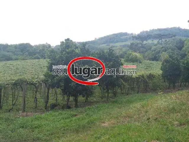Sítio / Chácara para Venda em Caxias do Sul/RS São Luiz