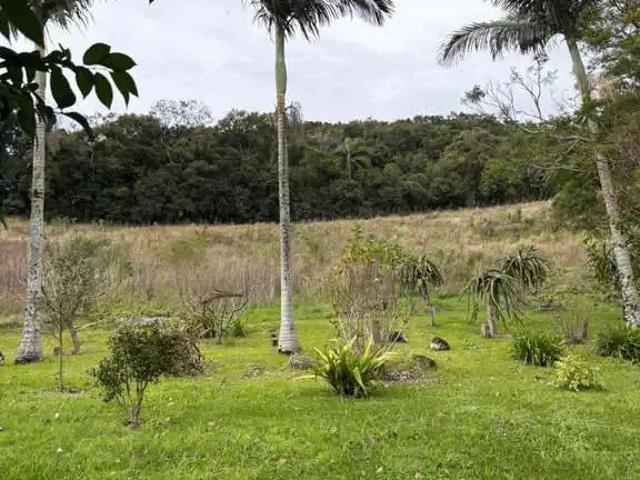 Sítio / Chácara para Venda em Caxias do Sul/RS São Pedro da Terceira Légua