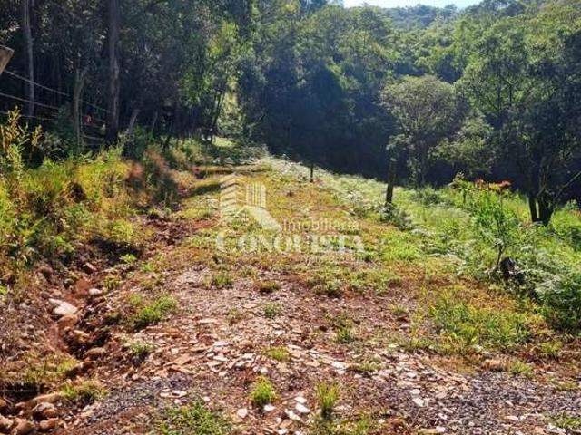 Sítio / Chácara para Venda em Caxias do Sul/RS São Pedro da Terceira Légua