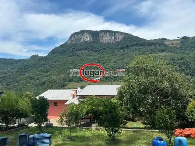 Sítio / Chácara para Venda em Caxias do Sul/RS São Pedro da Terceira Légua