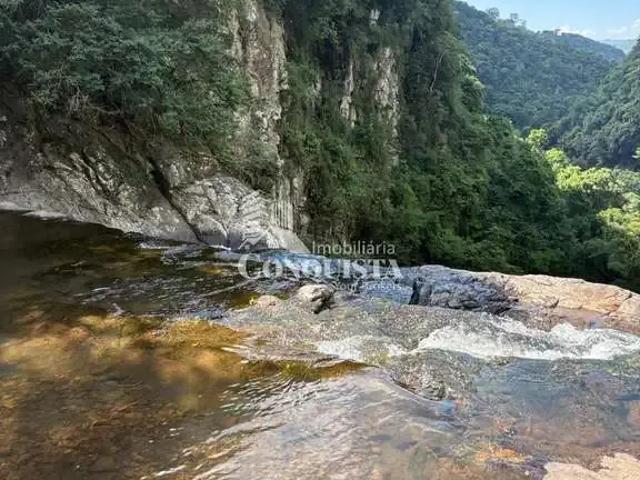 Sítio / Chácara para Venda em Caxias do Sul/RS São Pedro da Terceira Légua
