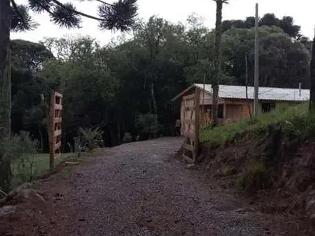 Sítio / Chácara para Venda em Caxias do Sul/RS Santa Fé