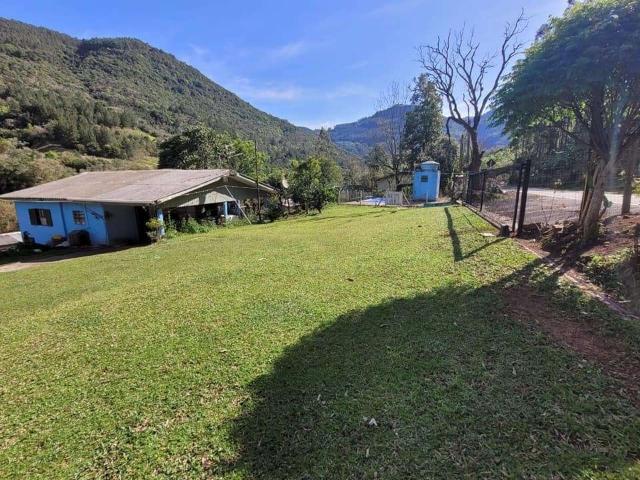 Sítio / Chácara para Venda em Caxias do Sul/RS Santa Lúcia do Piaí 3 Quartos