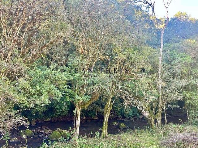 Sítio / Chácara para Venda em Caxias do Sul/RS Santa Lúcia do Piaí 2 Quartos