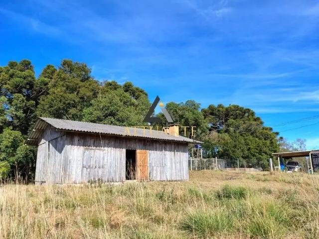 Sítio / Chácara para Venda em Caxias do Sul/RS Santa Lúcia do Piaí
