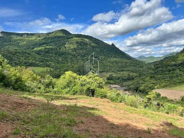 Sítio / Chácara para Venda em Caxias do Sul/RS Santa Lúcia do Piaí
