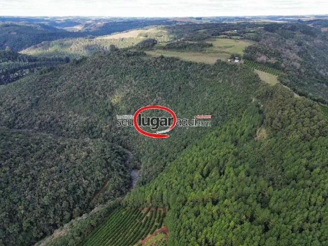 Sítio / Chácara para Venda em Caxias do Sul/RS Santa Lúcia do Piaí