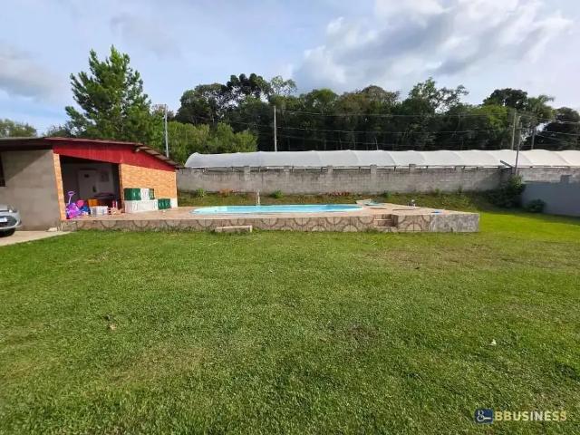 Sítio / Chácara para Venda em Caxias do Sul/RS Santa Lúcia do Piaí 5 Quartos