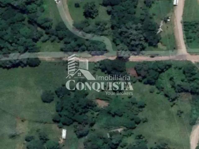Sítio / Chácara para Venda em Caxias do Sul/RS Santo Antônio