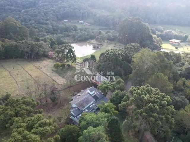Sítio / Chácara para Venda em Caxias do Sul/RS Santo Antônio 4 Quartos