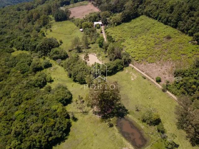 Sítio / Chácara para Venda em Caxias do Sul/RS Segunda Légua