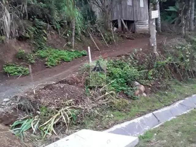 Sítio / Chácara para Venda em Caxias do Sul/RS Vila Cristina 2 Quartos