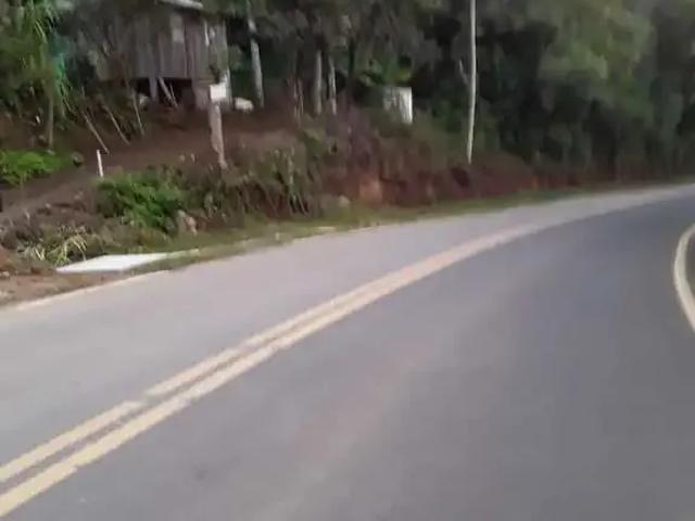 Sítio / Chácara para Venda em Caxias do Sul/RS Vila Cristina 2 Quartos